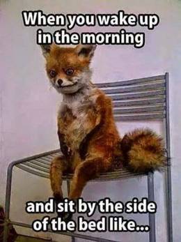 15 Easy DIYs To Make Your Morning Routine Faster TheThings