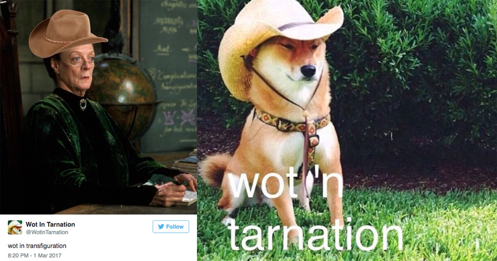 15 Of The Best "Wot in Tarnation" Memes | TheThings