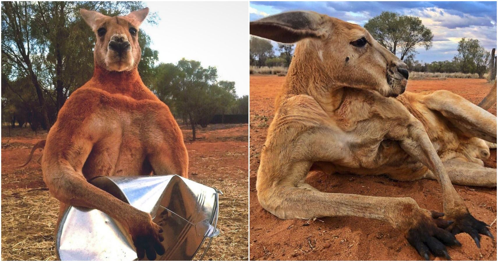 Khaed Producer For Xxxtentacion And More Passes Away Xxl